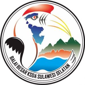 Balai Besar Konservasi Sumber Daya Alam Sulawesi Selatan | Kukangku