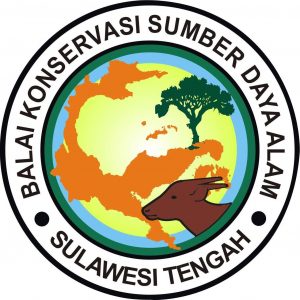 Balai Konservasi Sumber Daya Alam Sulawesi Tengah | Kukangku