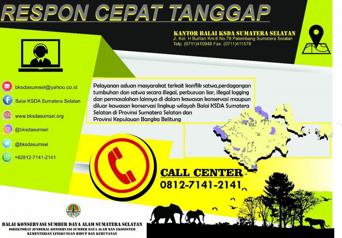 Balai Konservasi Sumber Daya Alam Sumatera Selatan | Kukangku