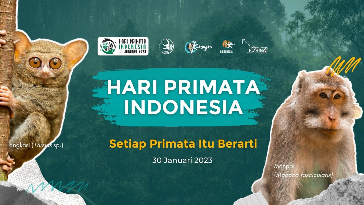 Hari Primata Indonesia 2023 : Semua Primata itu Berarti - Kukangku